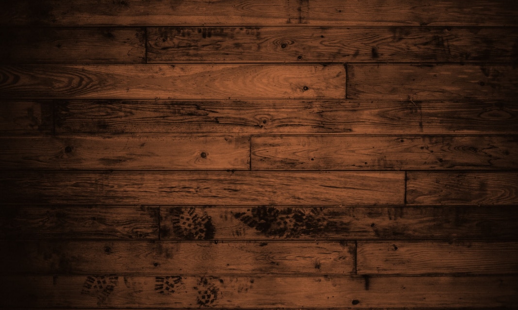 Sikora ART - Zdrowie, Dom, Life Style, Porady i Inne